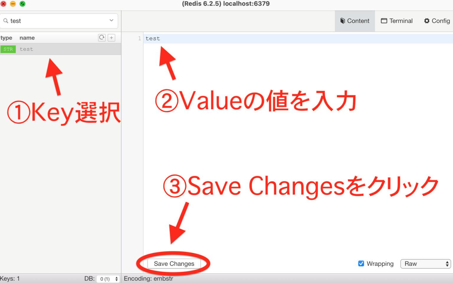 RedisのオススメGUIクライアントMedisを無料で使う方法 | 鉄駆ブログ