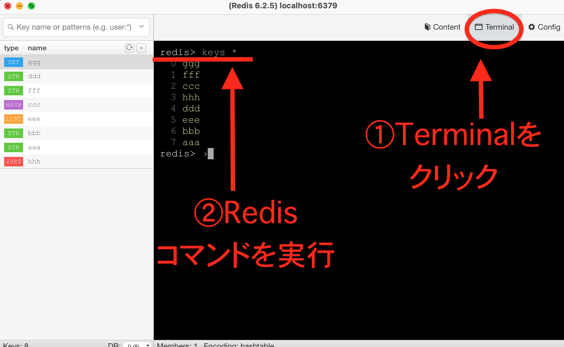 RedisのオススメGUIクライアントMedisを無料で使う方法 | 鉄駆ブログ